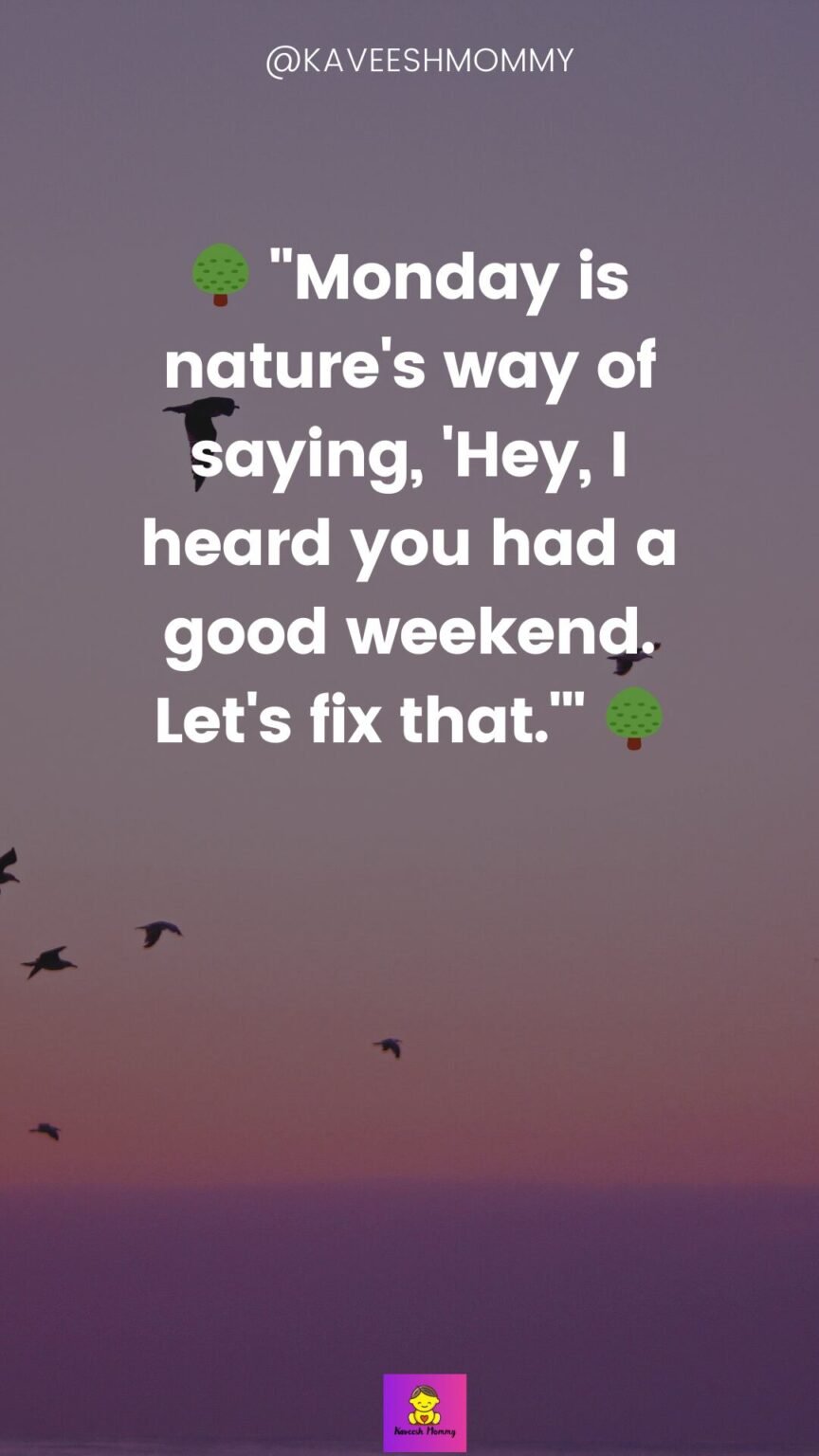 100+ Funny Monday Quotes to Beat the Blues": Laugh Your Way